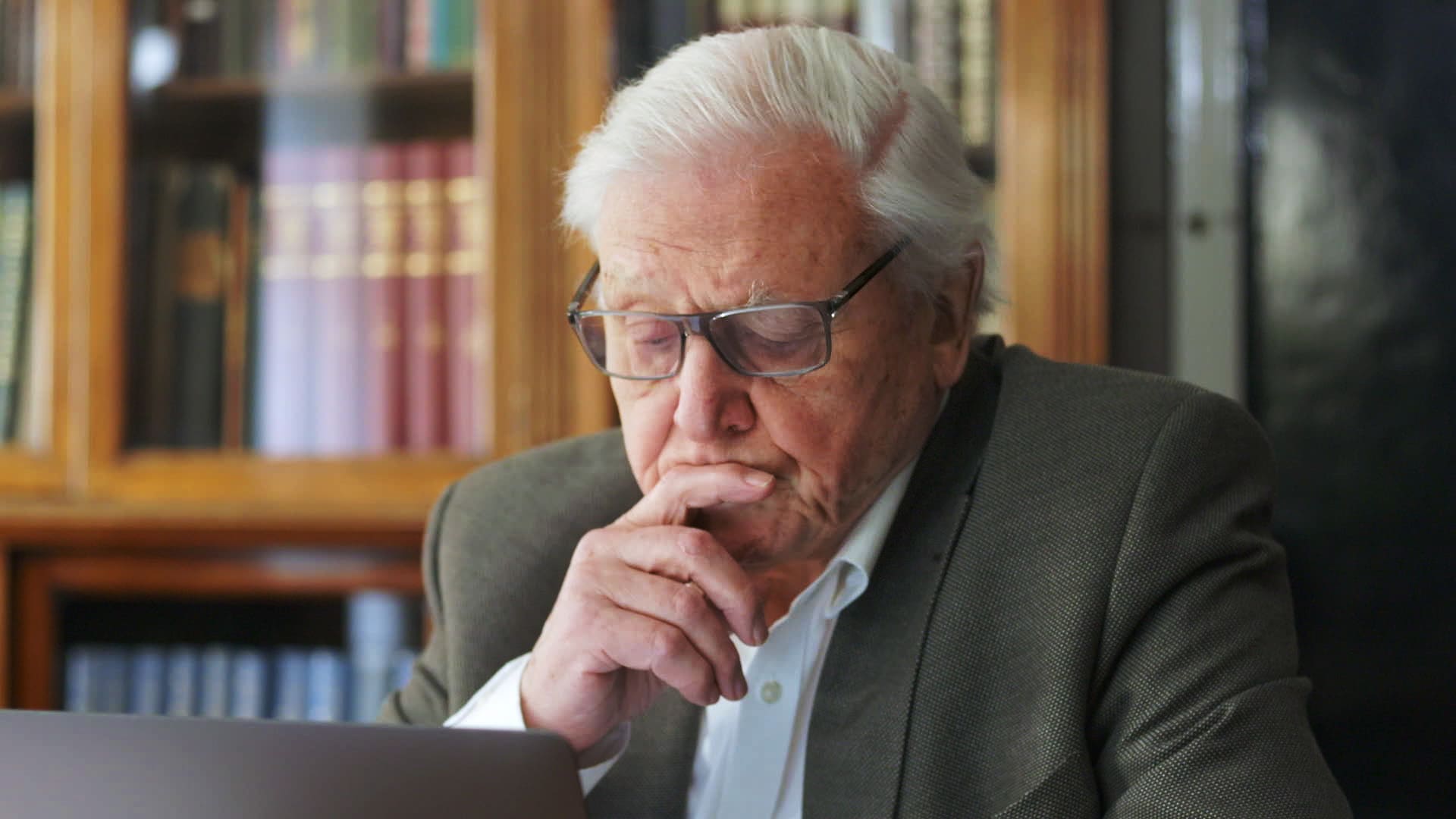 UN People's Seat - Felix Schmilinsky | Cinematographer